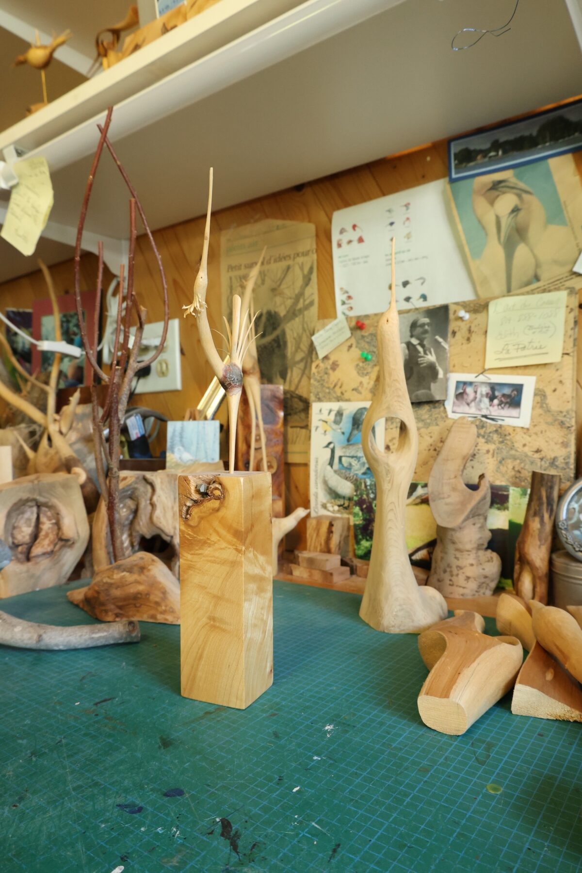 Festival Circuit-Court – Circuit-Court